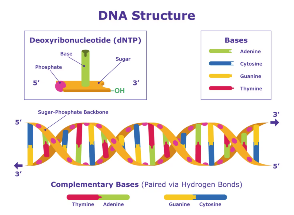 Enhanced Glossary - OMPRN
